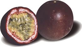 GULUPA, FRUTA DE LA PASIÒN